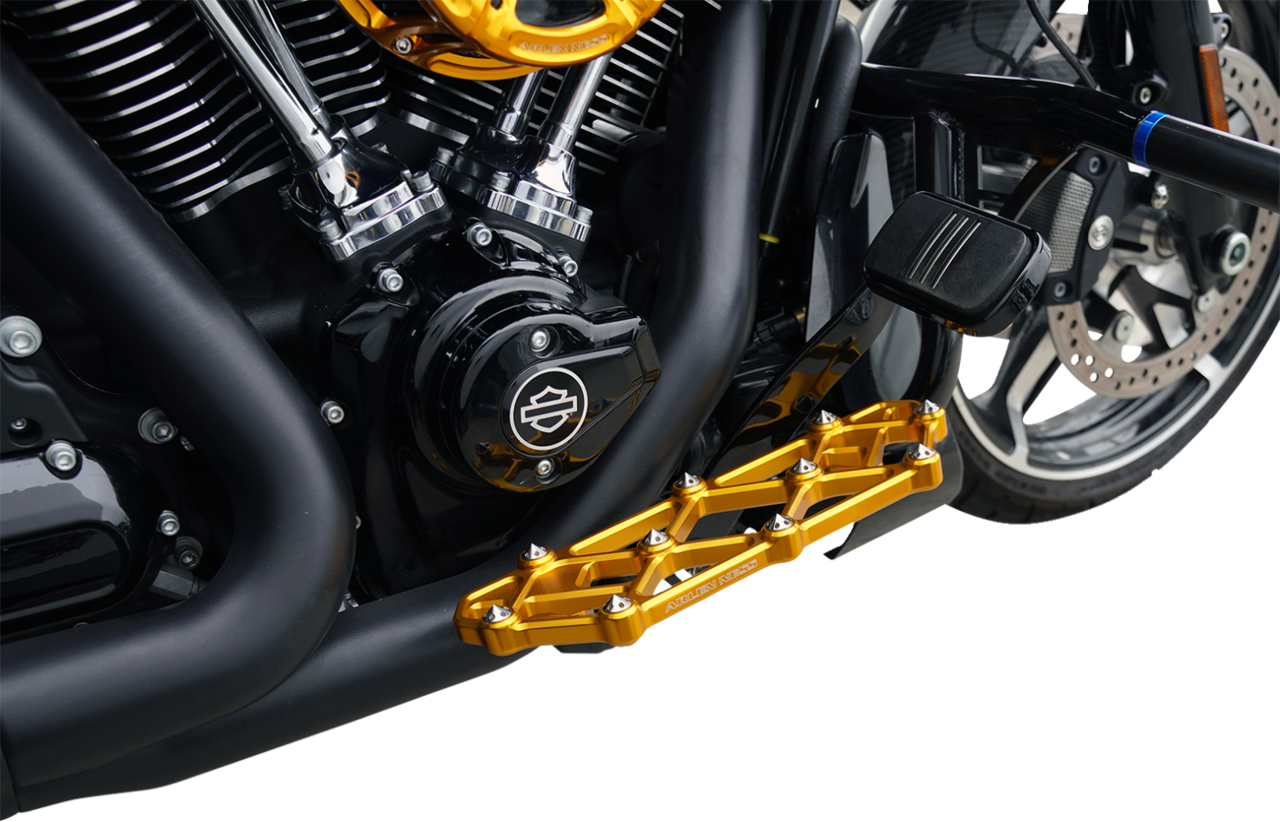Arlen Ness Diamond Gold Driver Floorboards for 1982-2025 Harley Tourin ...